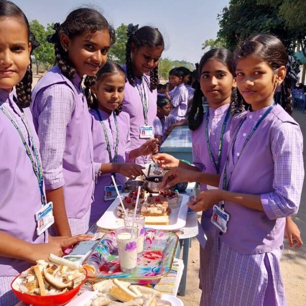 Federal Public School
